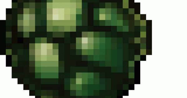 (5) Turtle Shell - Tibia Itens